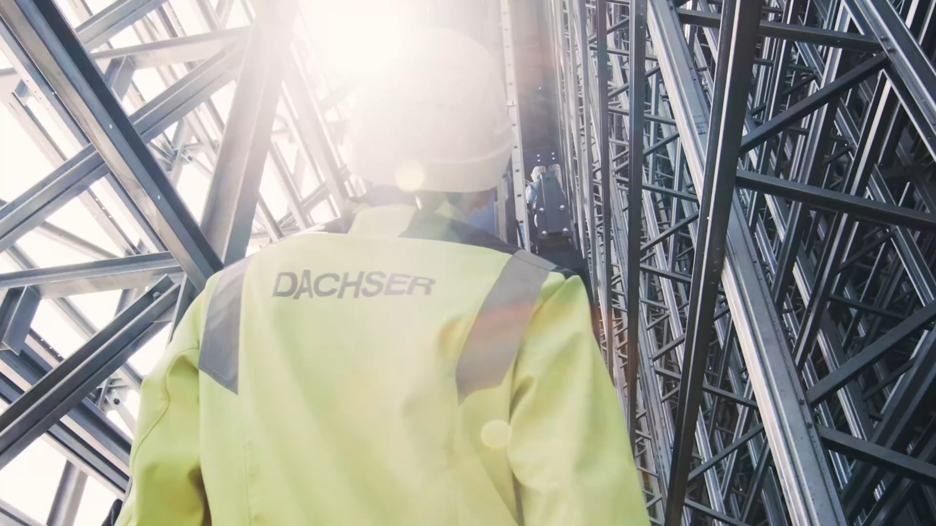 Dachser - silberstern